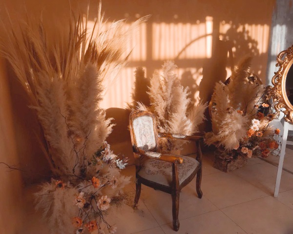 Studio phông trắng thời thượng, ngả màu hoàng hôn tại phim trường Chill Sky